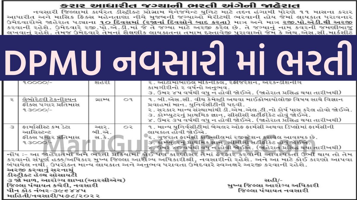 DPMU Navsari Recruitment 2022